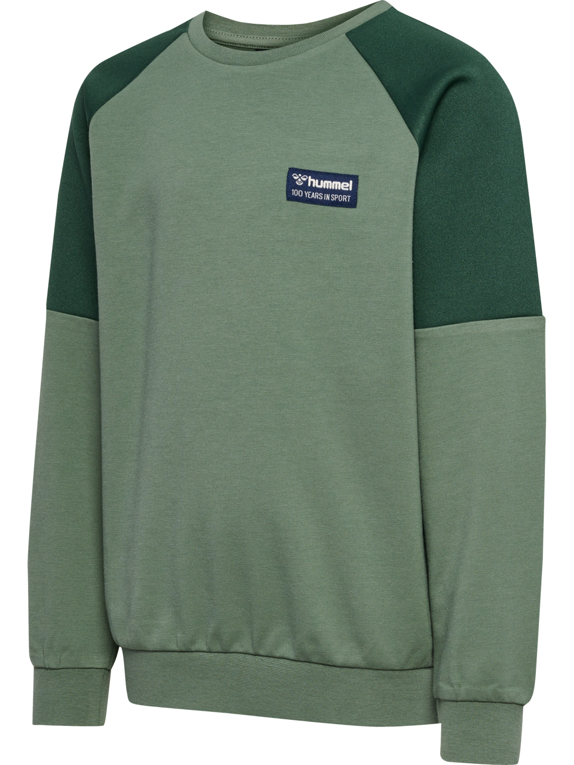 hummel EDDY SWEATSHIRT | hummel.dk